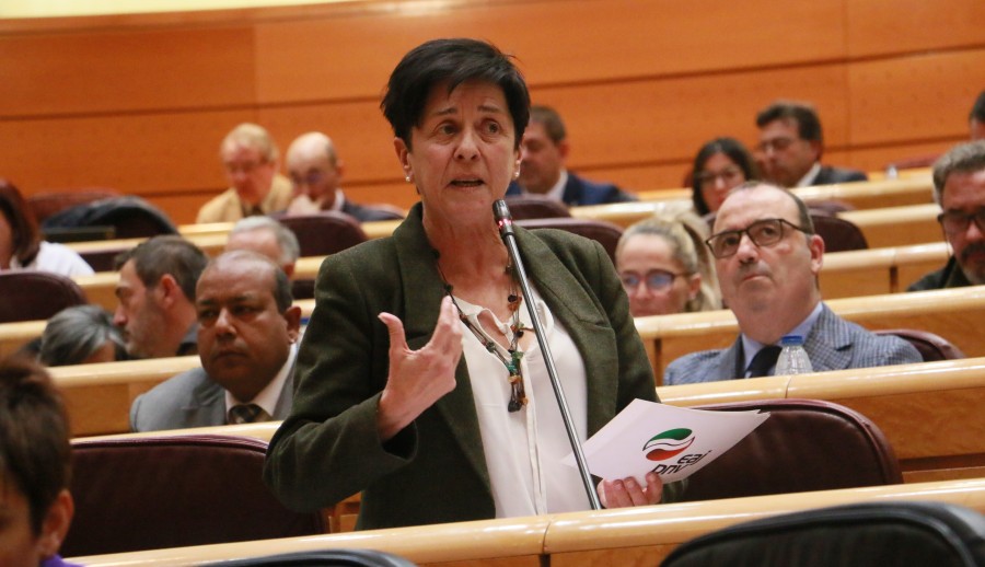 Nerea Ahedo reprocha al ministro Escrivá que “va tarde por segunda vez ...